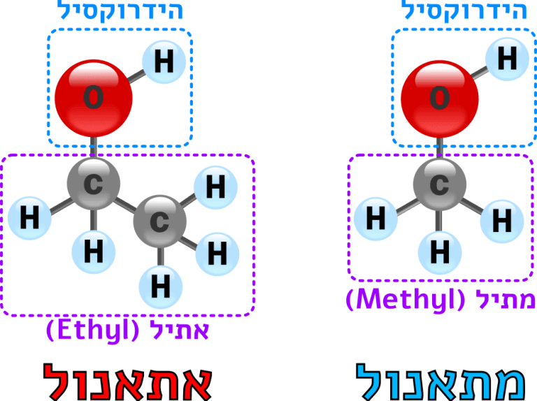 מולקולת השבוע - מדע גדול, בקטנה : מדע גדול, בקטנה